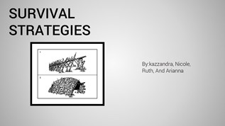 Survival at emaze Presentation