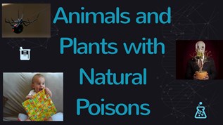 Animals and Plants at emaze Presentation