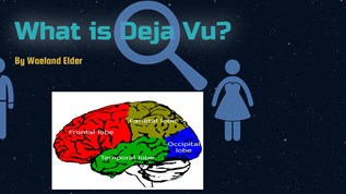 What is Deja Vu? at emaze Presentation