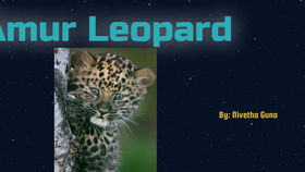 Amur Leopard at emaze Presentation