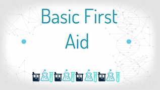 Basic First Aid at emaze Presentation