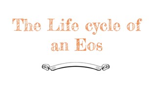 The Life cycle of an Eos at emaze Presentation