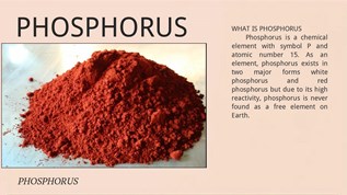 WHAT IS PHOSPHORUS at emaze Presentation