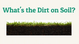 What's the Dirt on Soil at emaze Presentation