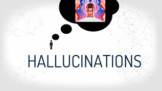 HALLUCINATIONS at emaze Presentation