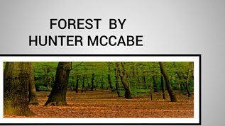 Forest at emaze Presentation