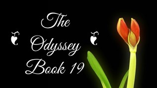 The Odyssey Book 19 at emaze Presentation