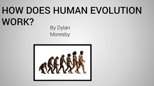 human evolution at emaze Presentation