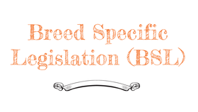 BSL at emaze Presentation