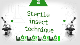 Sterile Insect Technique at emaze Presentation