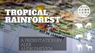 Tropical rainforest at emaze Presentation