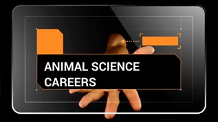 ANIMAL SCIENCE at emaze Presentation