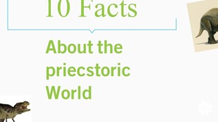 10 Facts at emaze Presentation