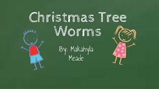 Christmas Tree Worms at emaze Presentation