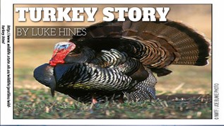 Turkey Story at emaze Presentation