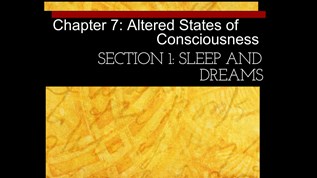 Chapter 7 Lesson 1 at emaze Presentation