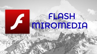 Flash Micromedia 2 at emaze Presentation