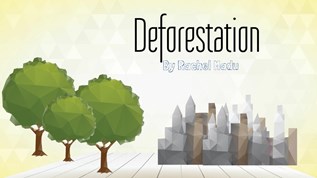 Deforestation at emaze Presentation