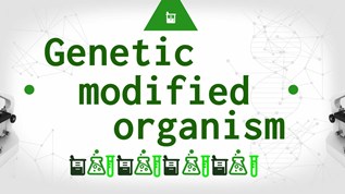 GMOs at emaze Presentation