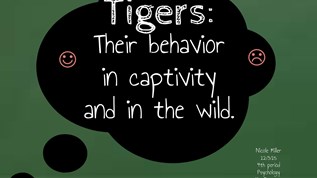 Comparative Psychology Project copy1 at emaze Presentation