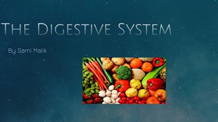 The Digestive System at emaze Presentation