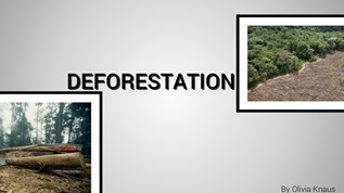 Deforestation at emaze Presentation