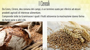 Cereali e Cariosside at emaze Presentation