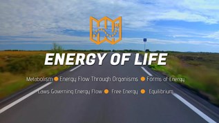 Energy Of life at emaze Presentation