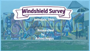 Windshield Survey at emaze Presentation