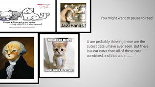 The legends of CATS at emaze Presentation