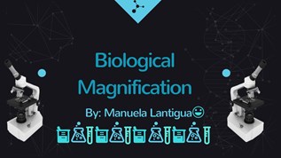 Bio-magnification. at emaze Presentation