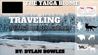 Biome Project: Taiga at emaze Presentation