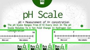 pH scale at emaze Presentation