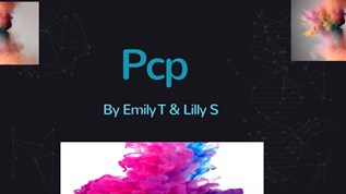 Pcp at emaze Presentation