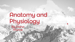 Presentation Name at emaze Presentation