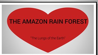 The Amazon Rain forest at emaze Presentation