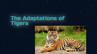 Tiger Adaptations at emaze Presentation