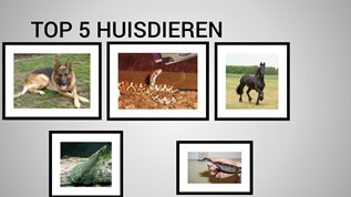 Top 5 huisdieren at emaze Presentation