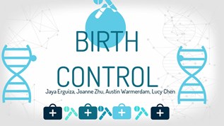 BIRTH CONTROL at emaze Presentation