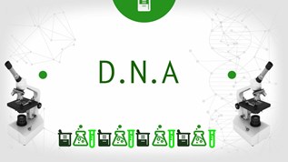 D.N.A at emaze Presentation