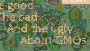 GMOs at emaze Presentation
