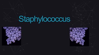 Science at emaze Presentation