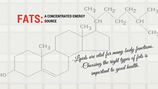 Fats: A Concentrated Energy Source at emaze Presentation