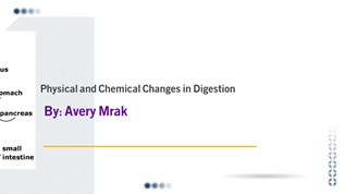 Physical and Chemical Changes at emaze Presentation