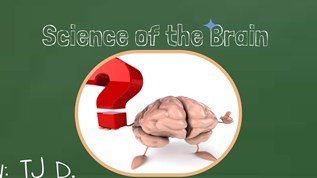 Science of the brain at emaze Presentation
