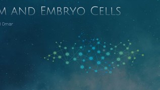 Stem and Embryo at emaze Presentation