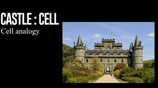 Castle : cell at emaze Presentation