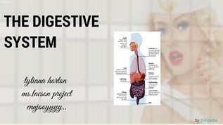 THE DIGESTIVE at emaze Presentation