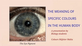 A variety of colours in the human body at emaze Presentation