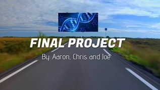 Biology Final Project at emaze Presentation